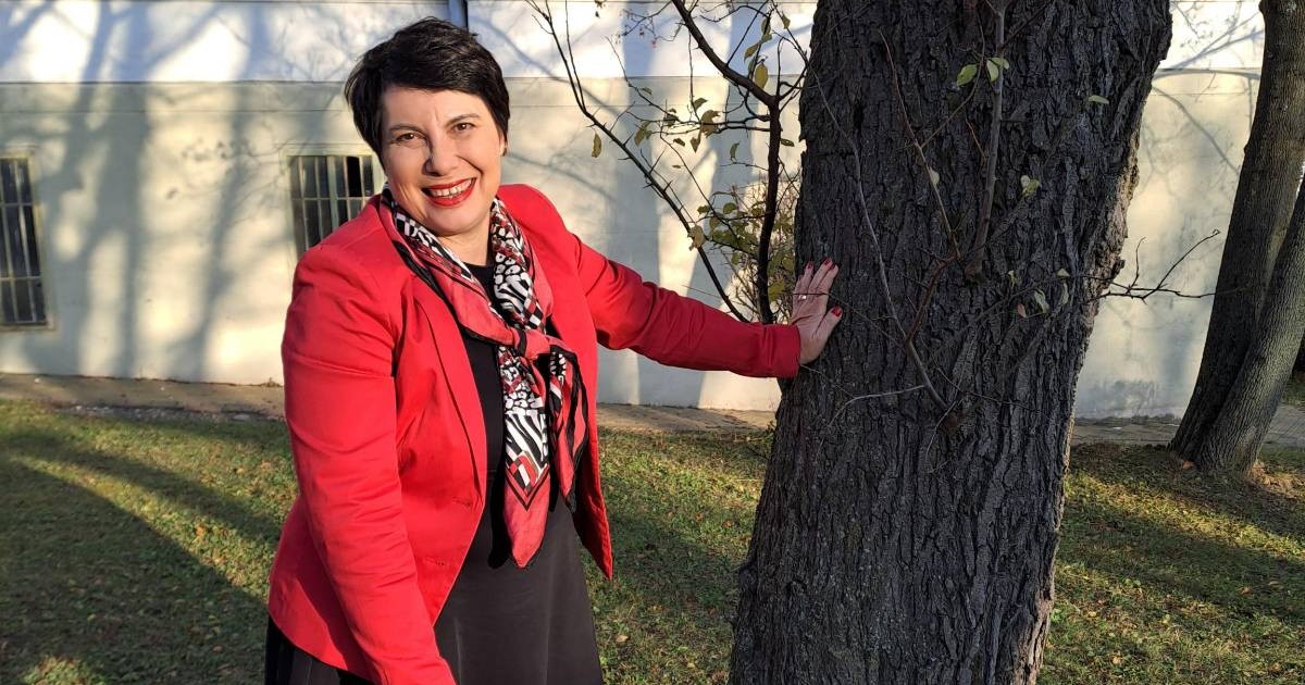 Volkskundemuseum - Hier entsteht ein neues Kulturareal für die Bürger ...